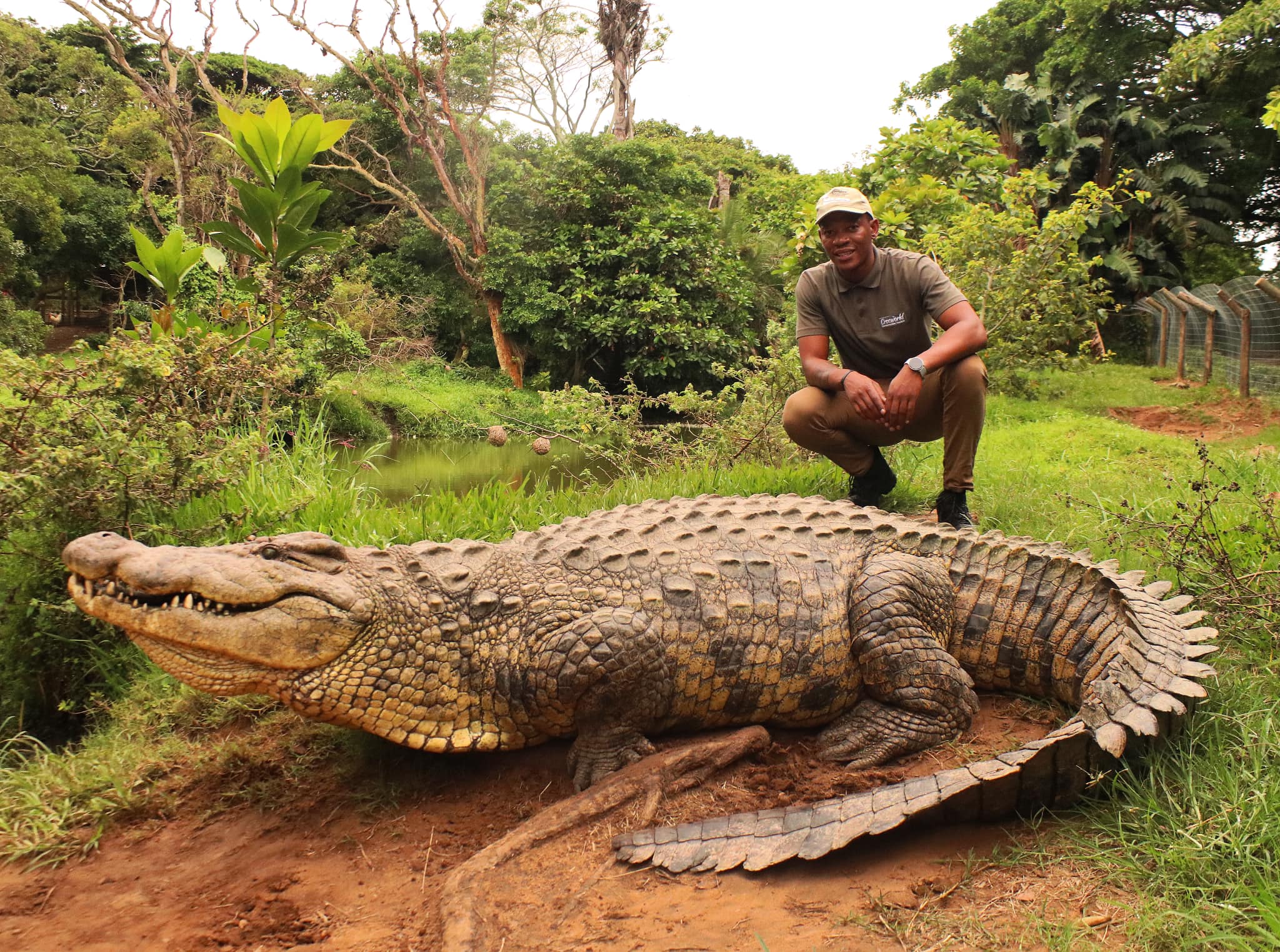 Crocworld welcomes new Animal Curator to this dynamic conservation team ...