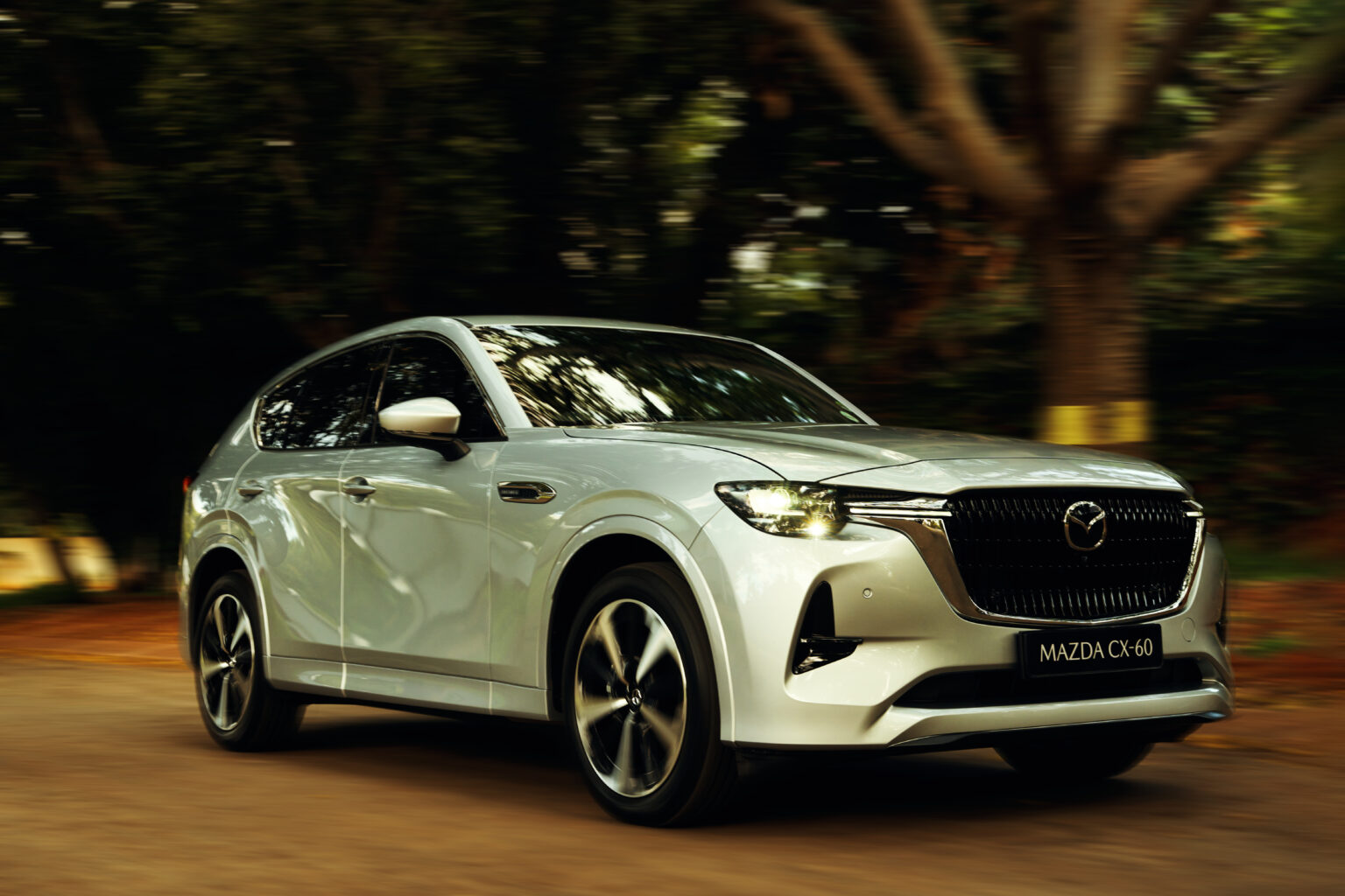 New Music Album Alert! DJ Zinhle – ZEE Nation Volume 1 - South African ...